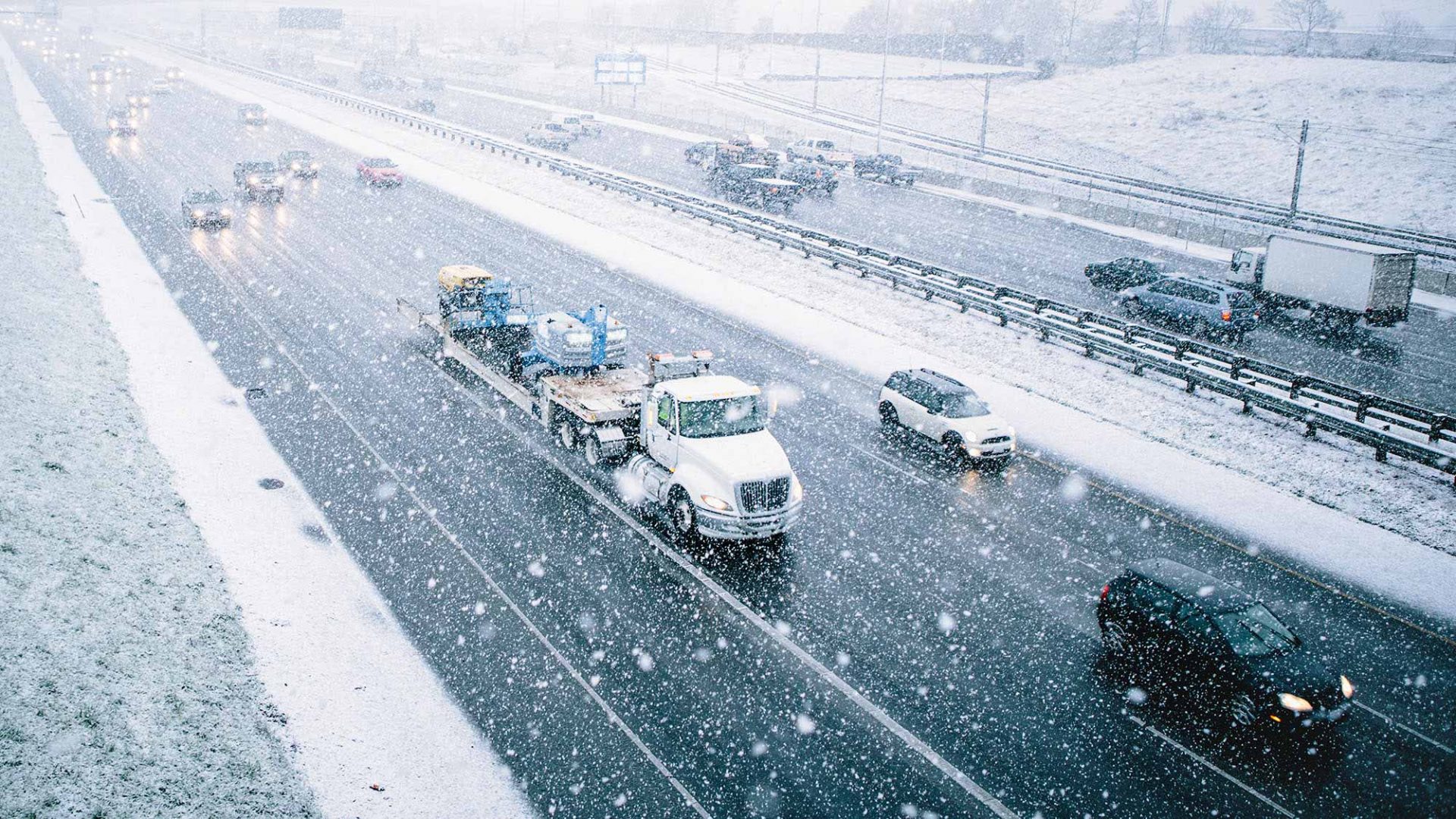 tiger-calcium-winter-solutions | Tiger Calcium